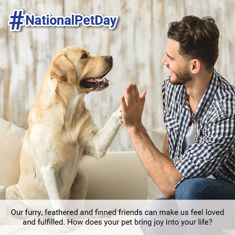 NationalDayMemes_2Q2022_1 - CUcontent - One-Click Social Media for ...